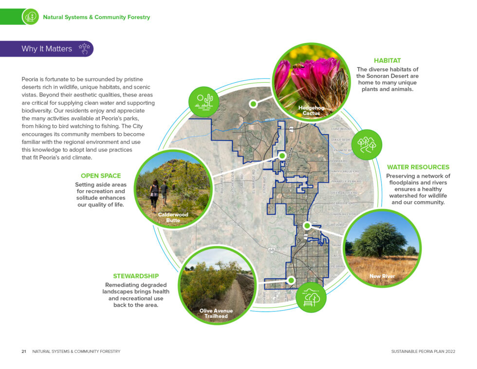 Sustainable Peoria Plan - Cleveland Design