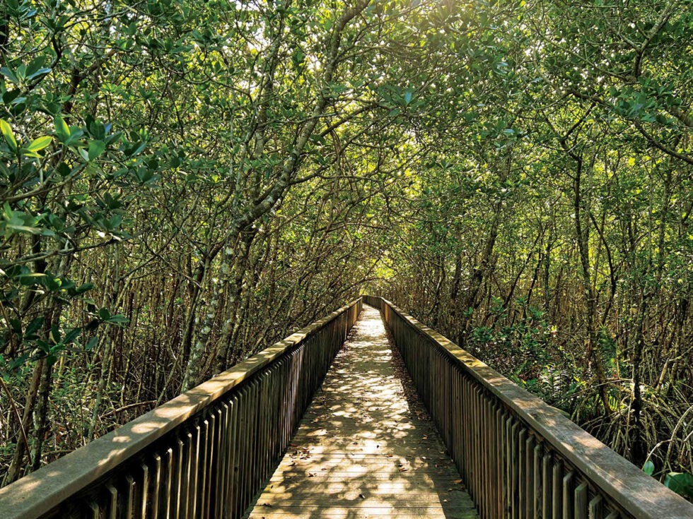 March 2025 - Cleveland Design